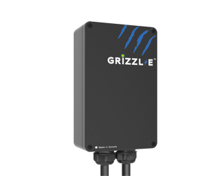 For individuals - Go Electric BC